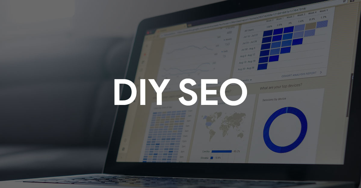 DIY SEO for Beginners | Pro Internet Marketing